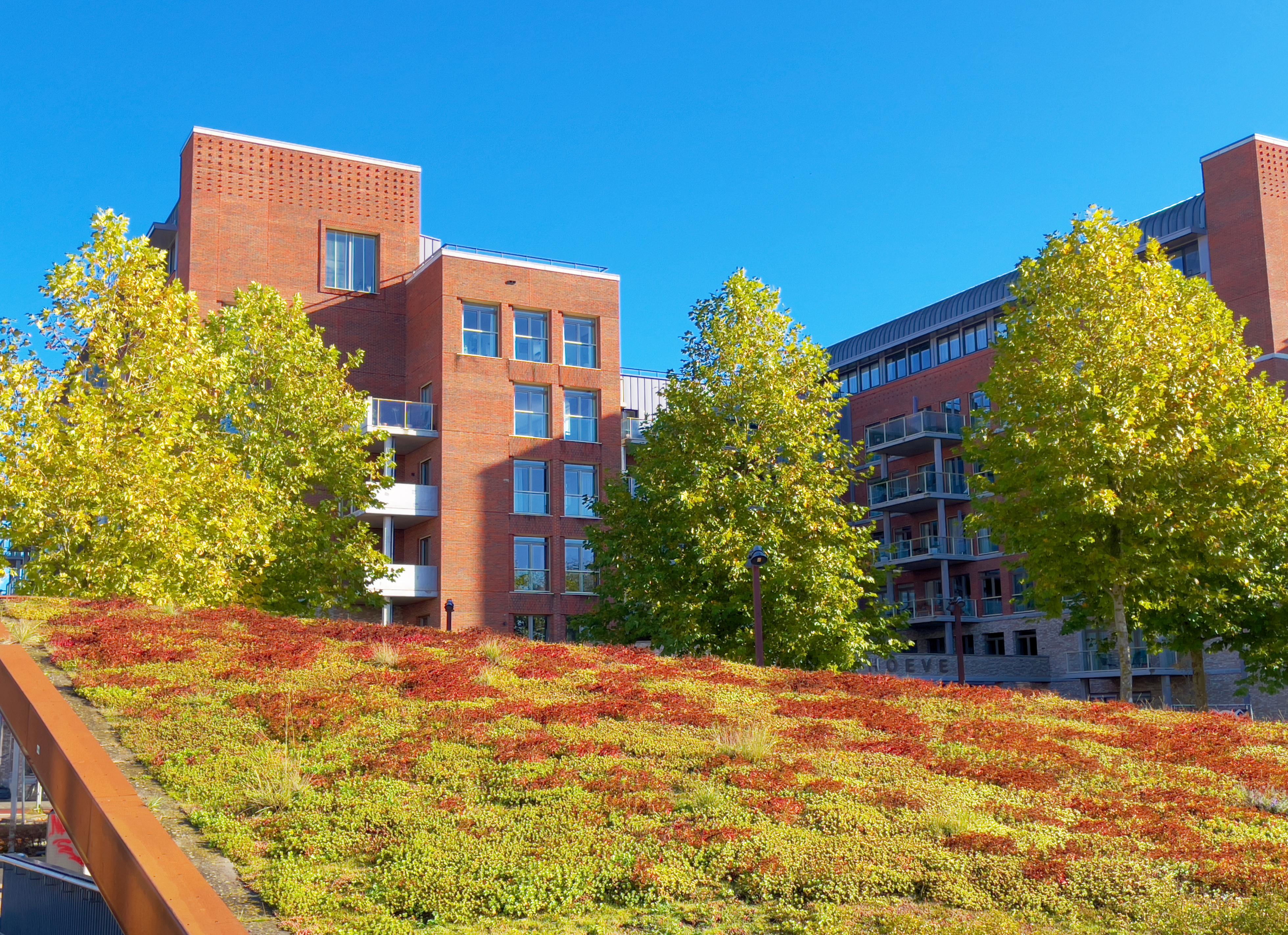Hitzeschutz beim Planen und Bauen mitdenken! - Landesärztekammer Baden ...